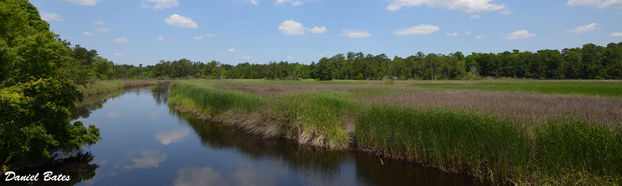 Awendaw - MCVL Realty - McClellanville and Awendaw, SC Real Estate ...